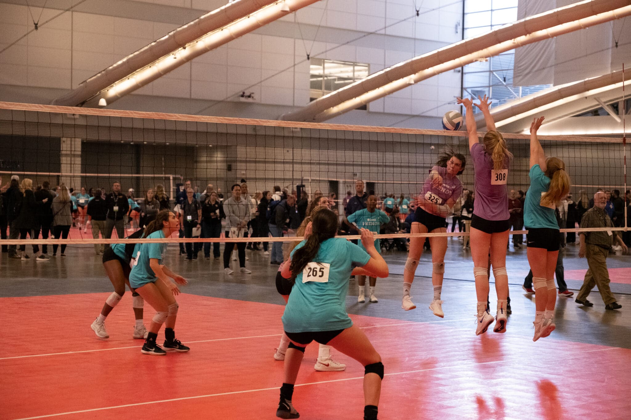 Recruitment Events | AVCA Events