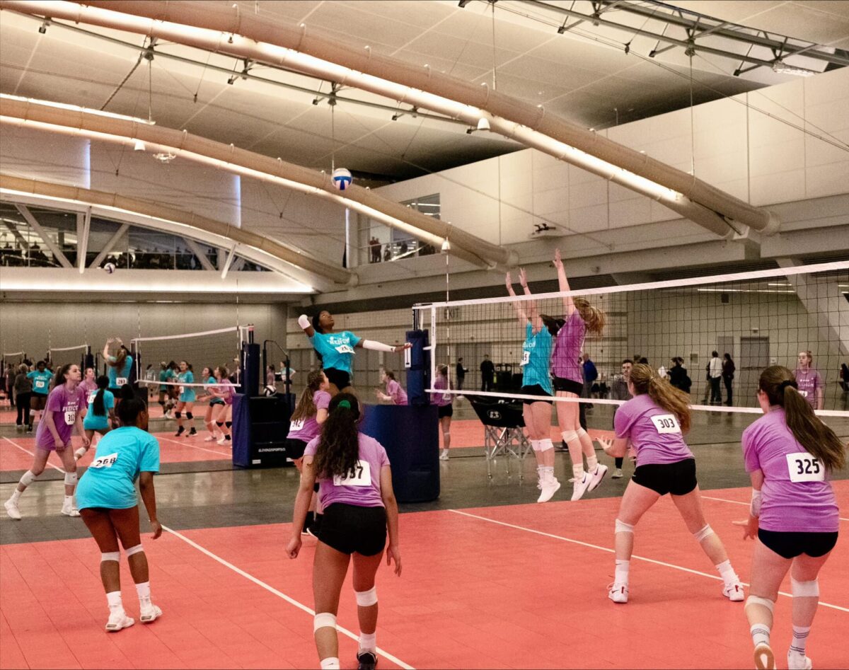 High School Volleyball | AVCA Resources