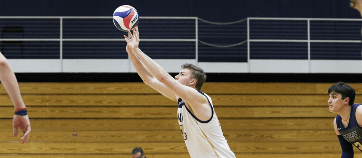 AVCA Webinar | Choosing and Evaluating Defensive Systems