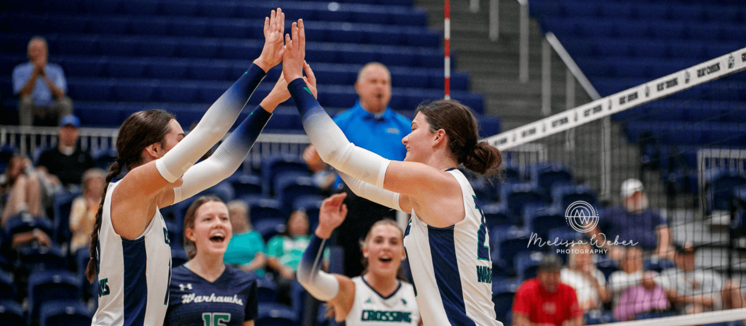 AVCA Webinar | Creating Transformational Teams