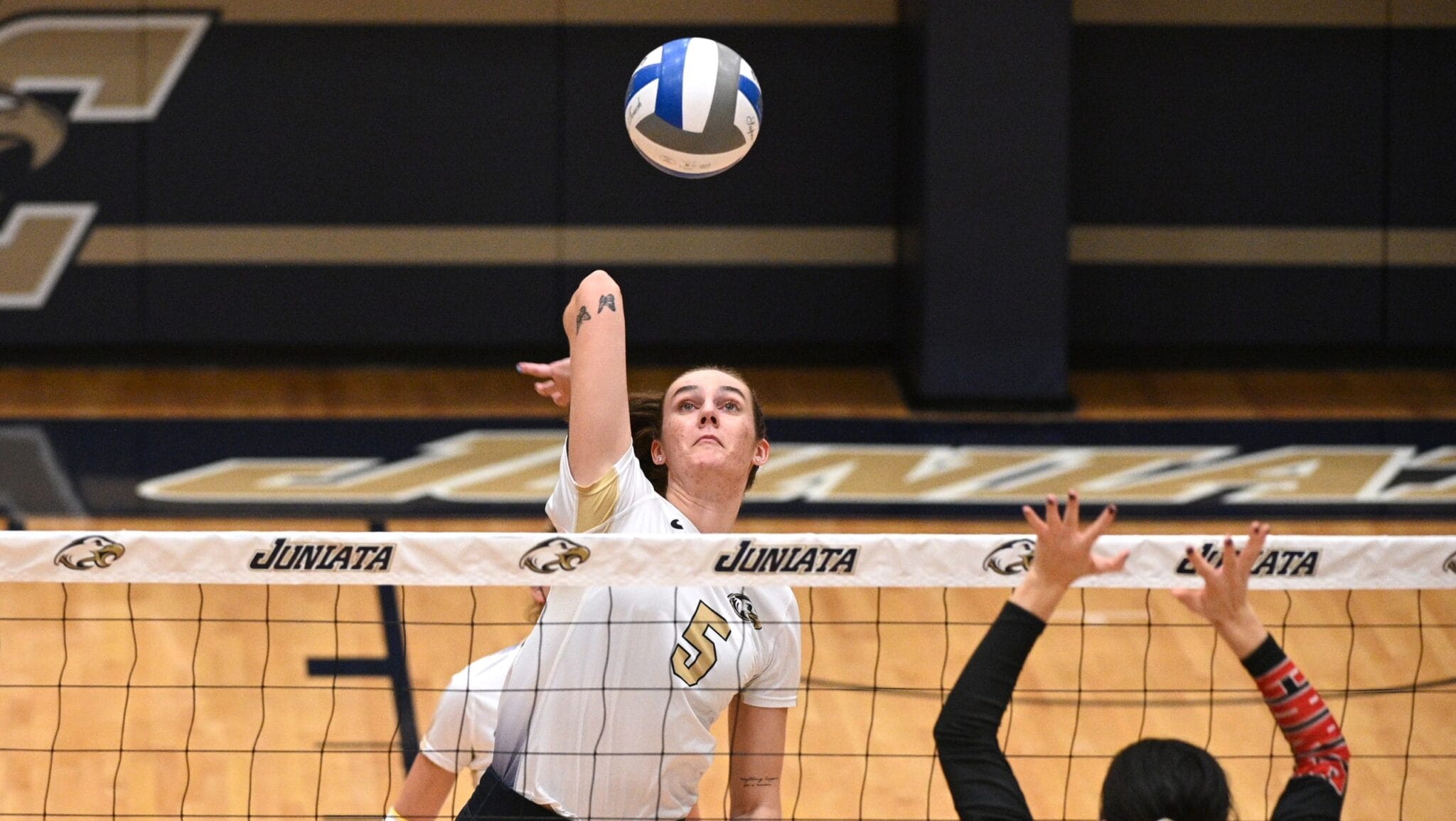 2024 AVCA Women's Div. III Region Awards | AVCA Awards