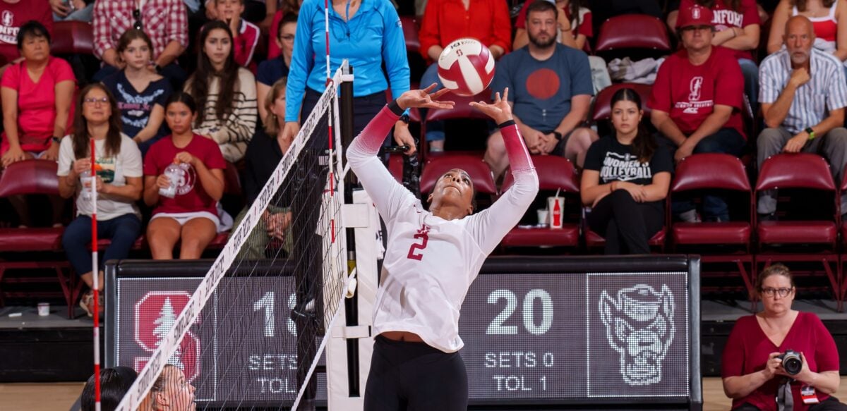 2024 AVCA Division I WVB All-America Teams | AVCA Awards